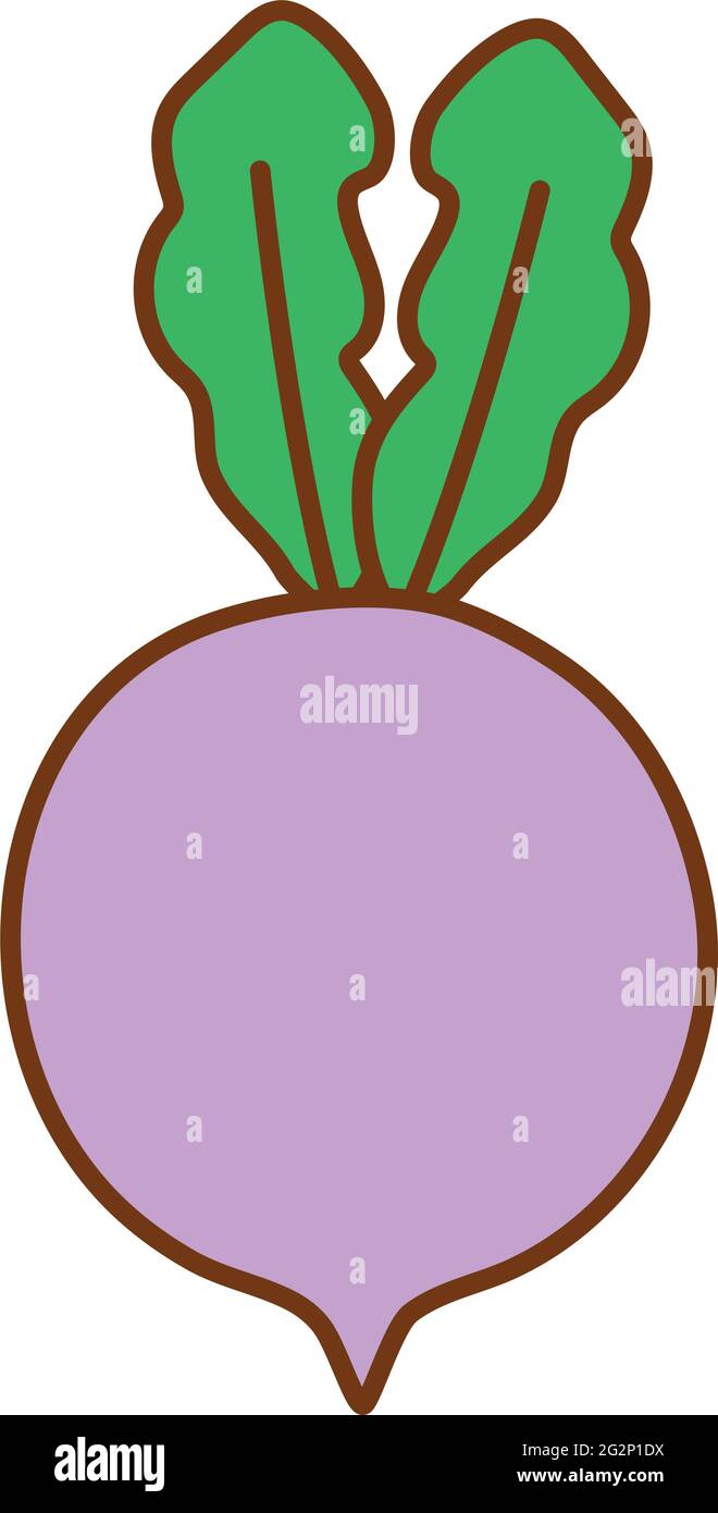 healthy beetroot design Stock Vector Image & Art - Alamy