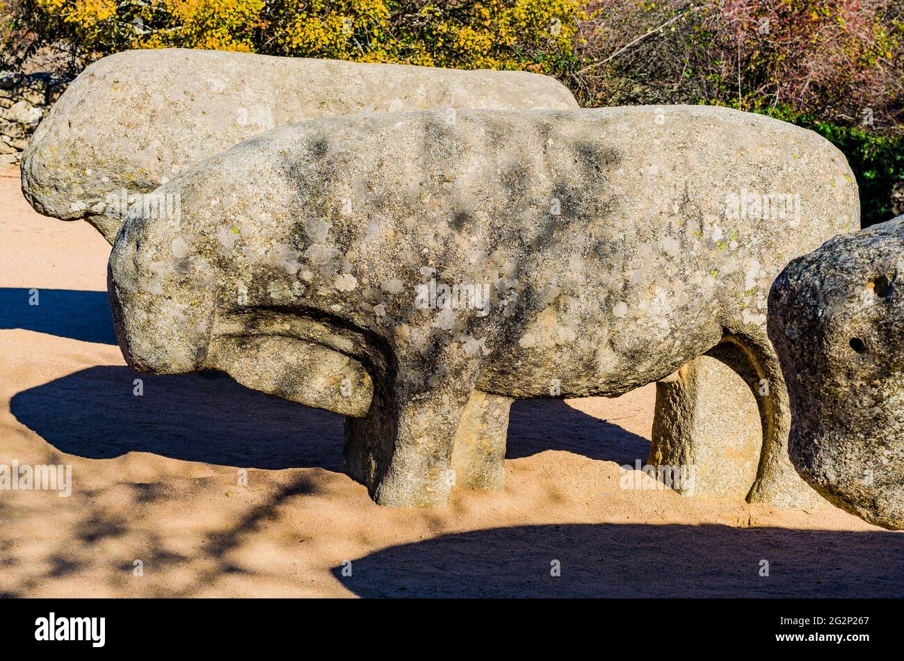 Pre roman iberian sculpture hi-res stock photography and images - Alamy