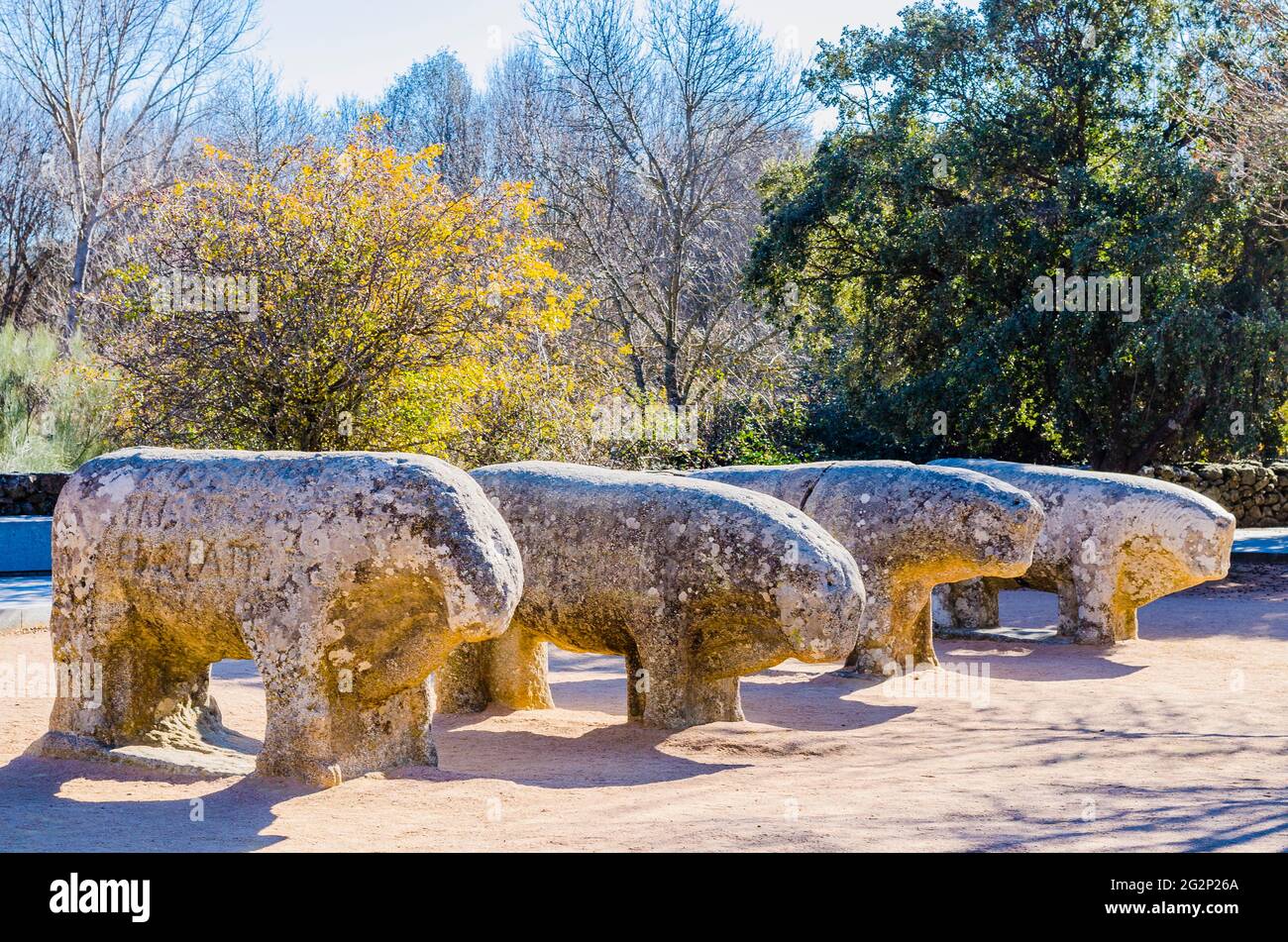 Pre roman iberian sculpture hi-res stock photography and images - Alamy