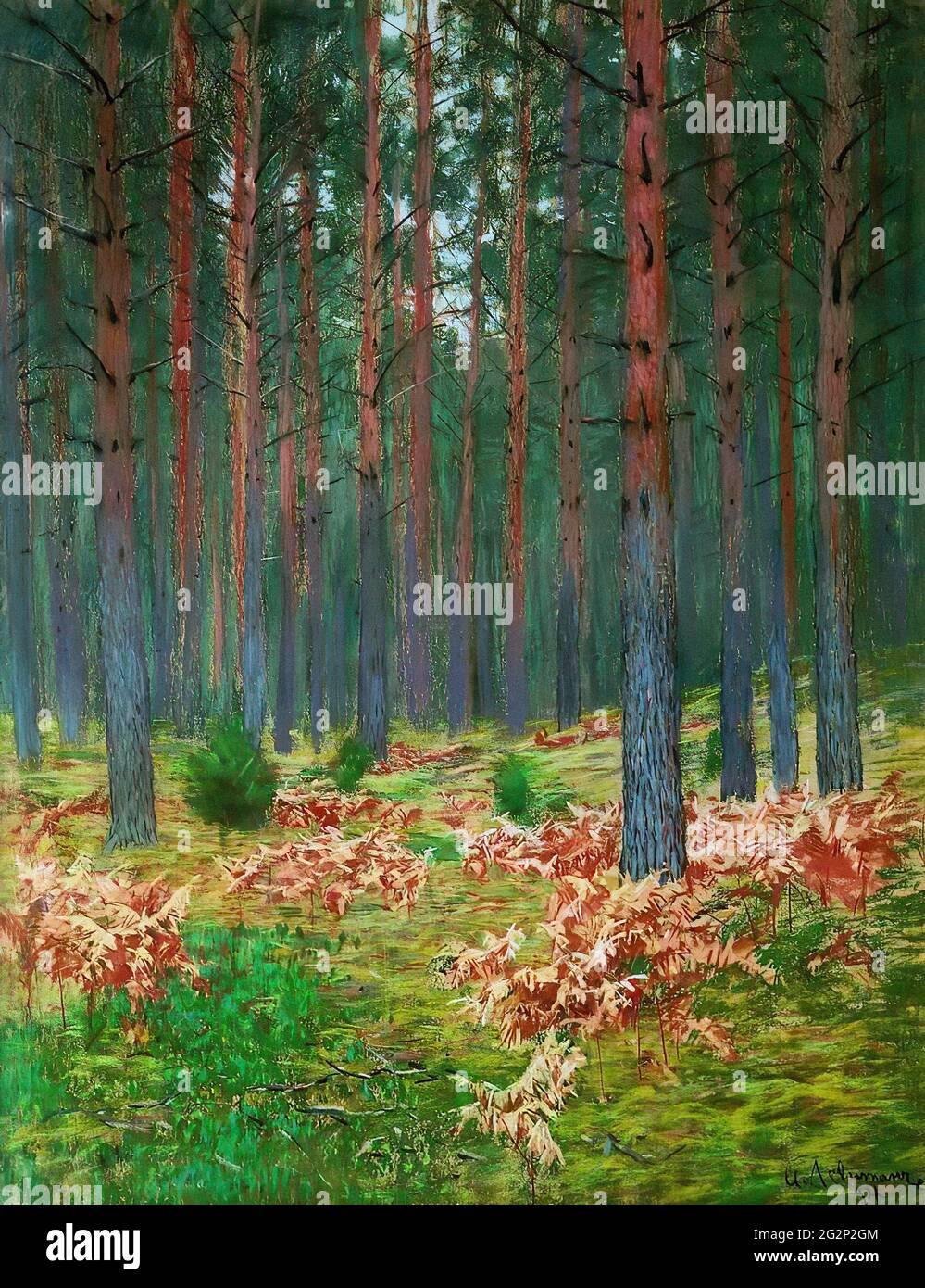 Isaac Levitan - Landscape with Ferns C 1895 Stock Photo - Alamy