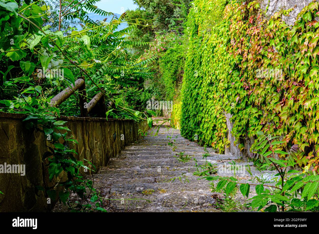 Castellabate, Salerno, Italy. Country lane with stairs and green plant ...