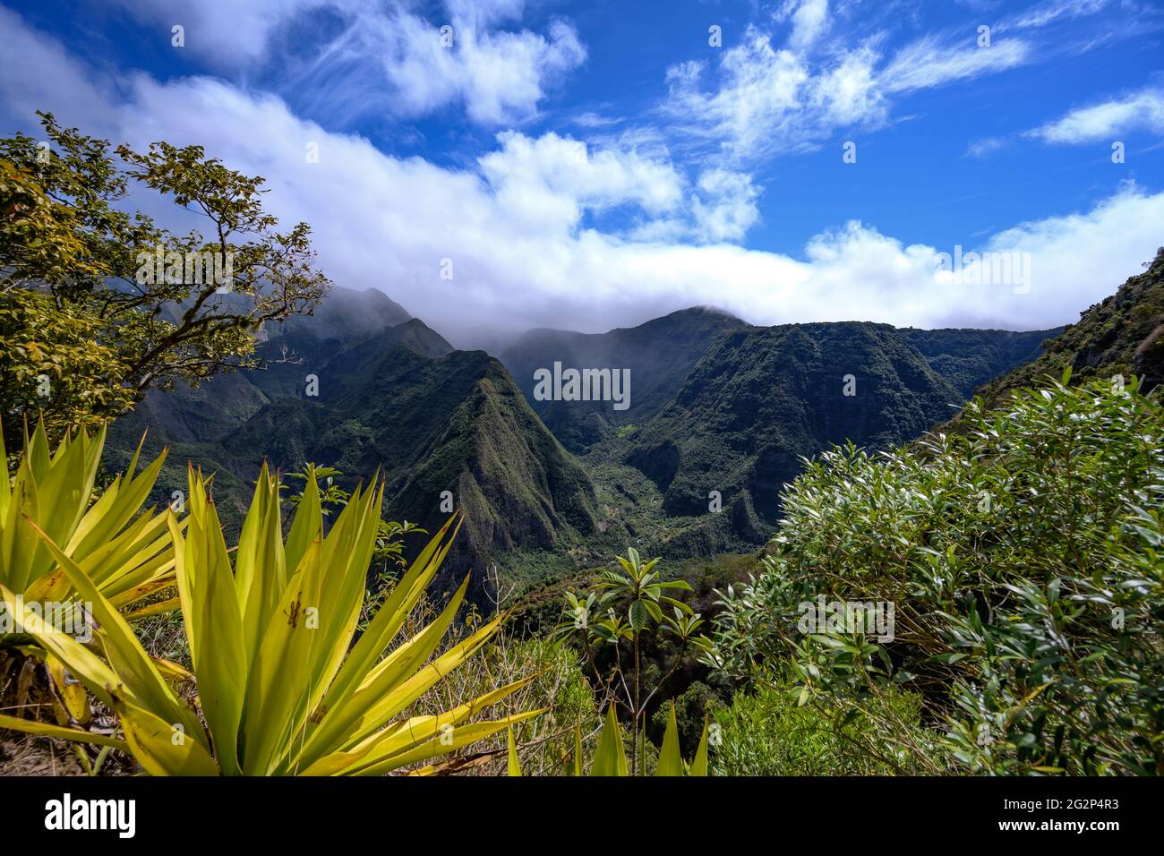 Grand Bassin Hiking Tour Stock Photo - Alamy