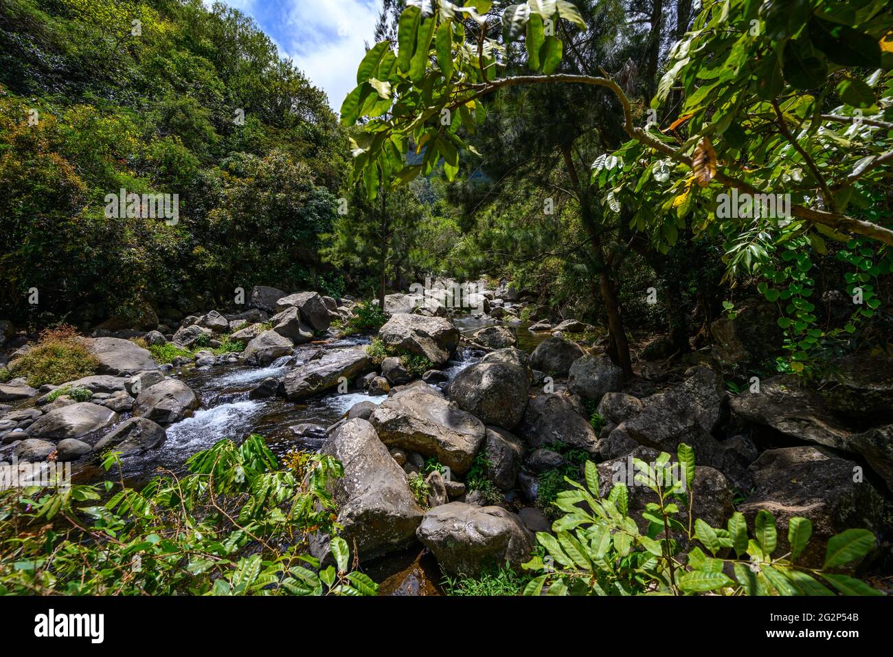 La reunion grand bassin hi-res stock photography and images - Alamy