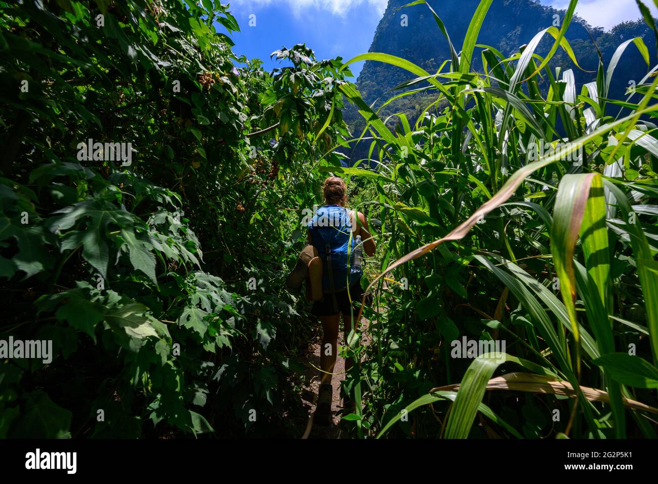 Grand Bassin Hiking Tour Stock Photo - Alamy
