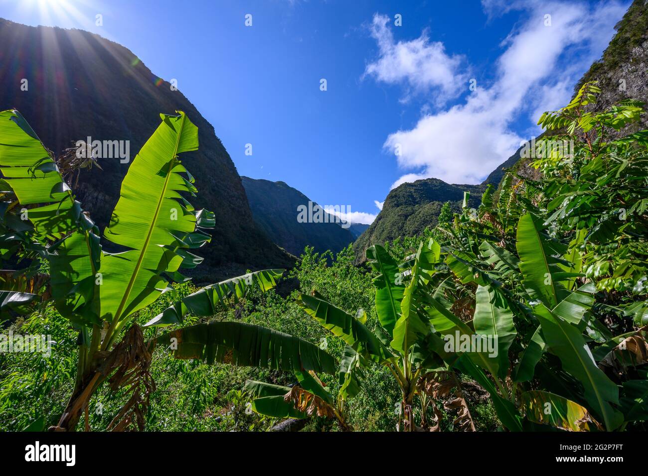 La reunion grand bassin hi-res stock photography and images - Alamy