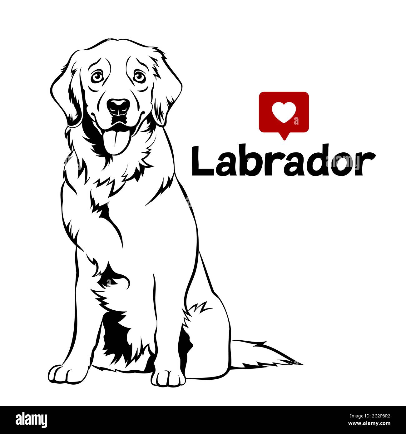 Golden retriver. Labrador dog portrait. Vector illustration Stock ...
