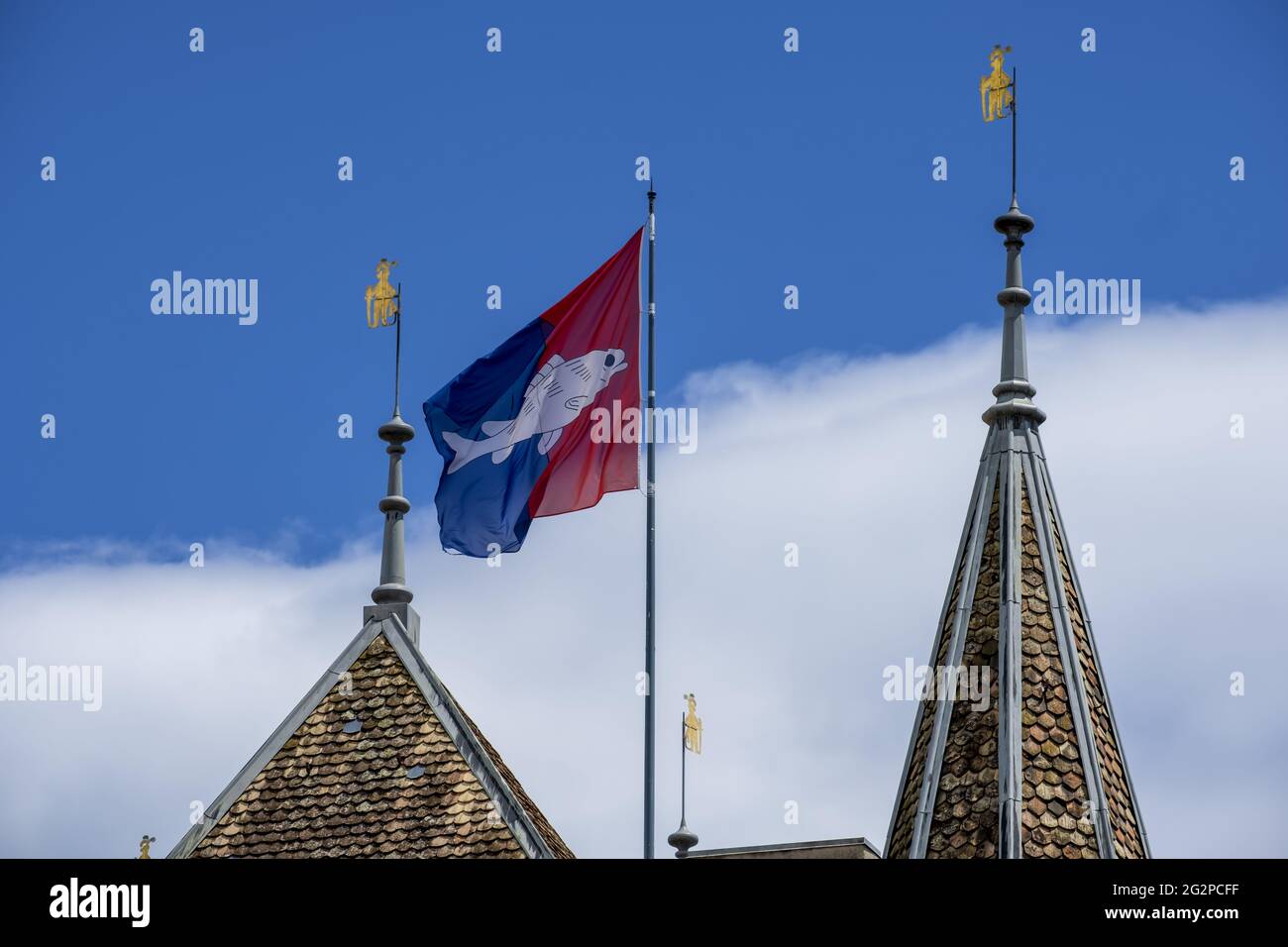 Flag of the Canton of Vaud on the roof of the castle in Nyon, canton of ...