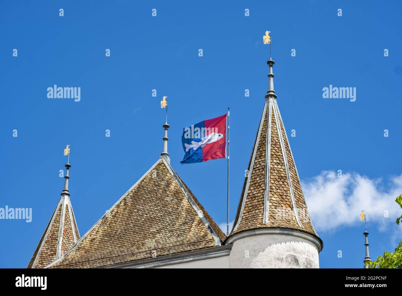 Flag of the Canton of Vaud on the roof of the castle in Nyon, canton of ...