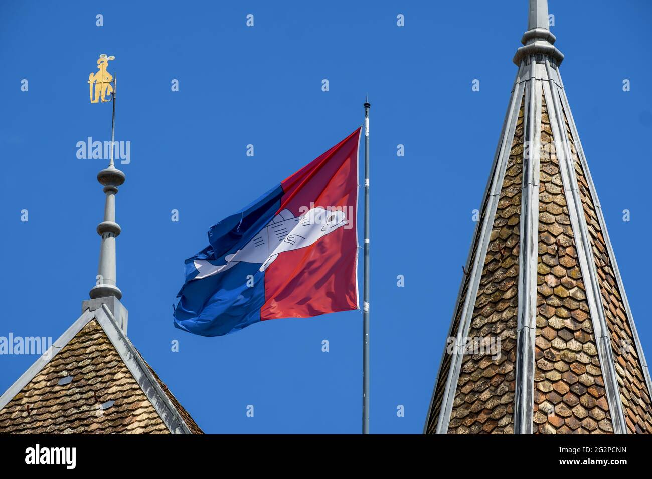 Flag of the Canton of Vaud on the roof of the castle in Nyon, canton of ...