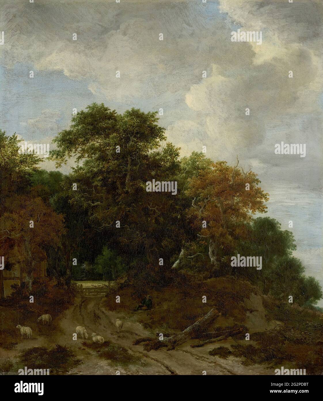 Jacob Van Ruisdael - Forest Landscape Stock Photo - Alamy