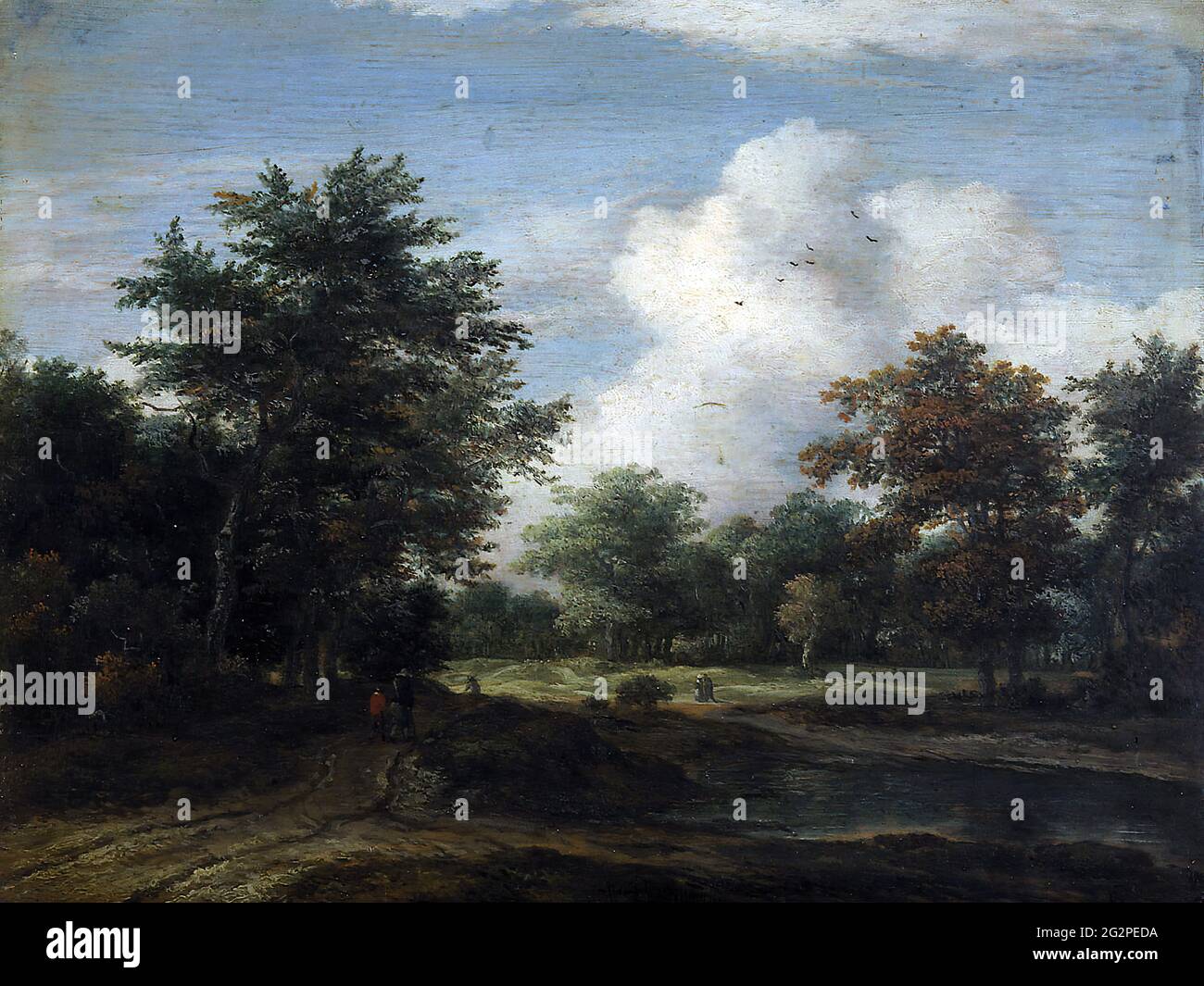 Jacob Van Ruisdael - Small Forest Landscape Stock Photo - Alamy