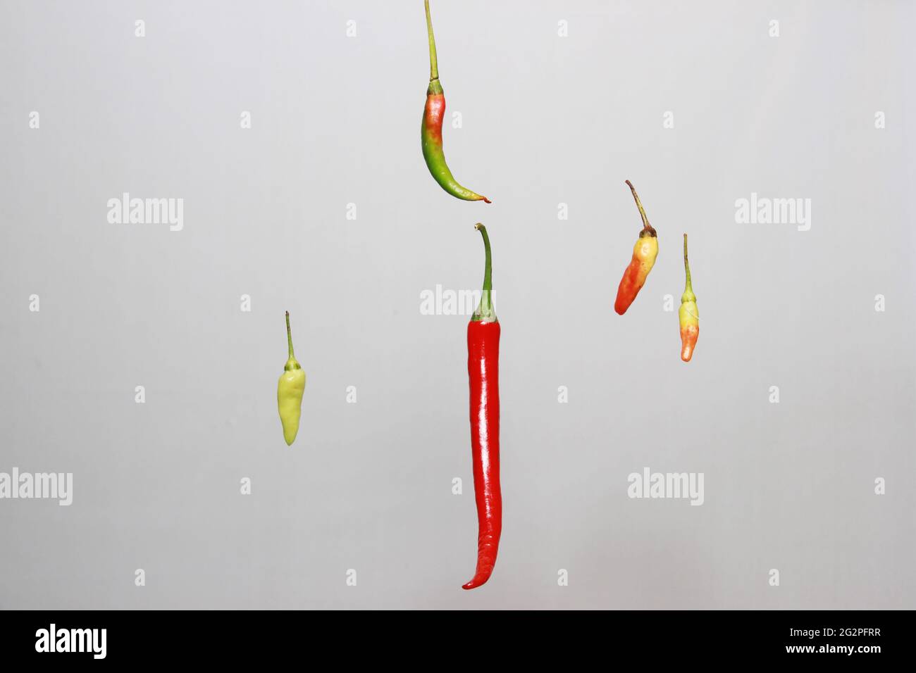 collection of fresh chilies isolated on white background. various kinds ...