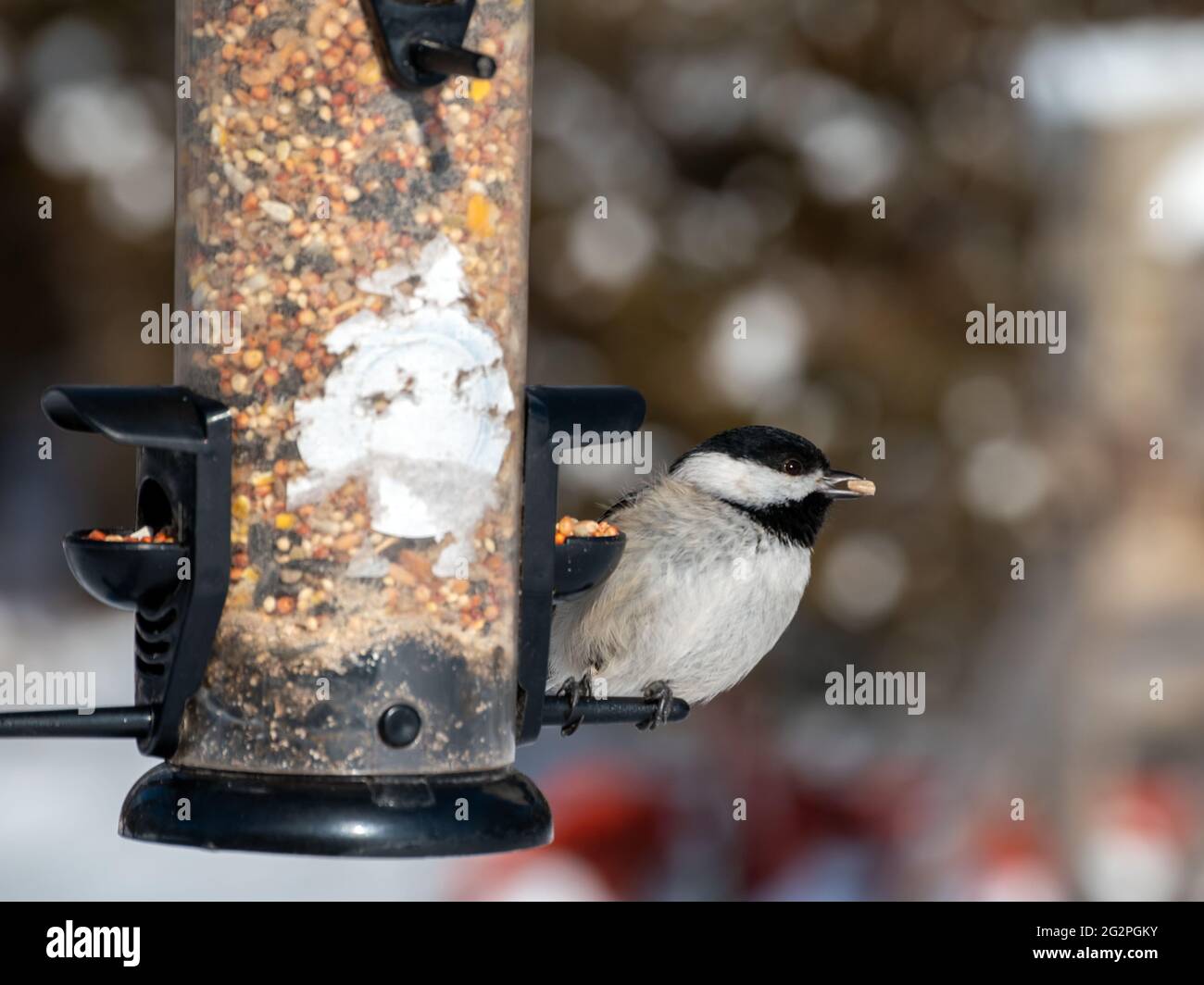 Spherical cap hi-res stock photography and images - Alamy