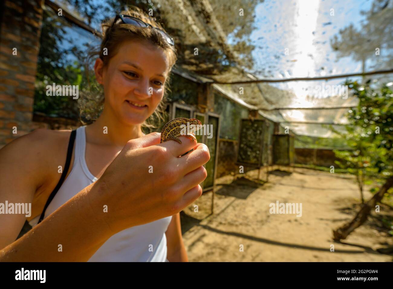 Pascal island hi-res stock photography and images - Alamy