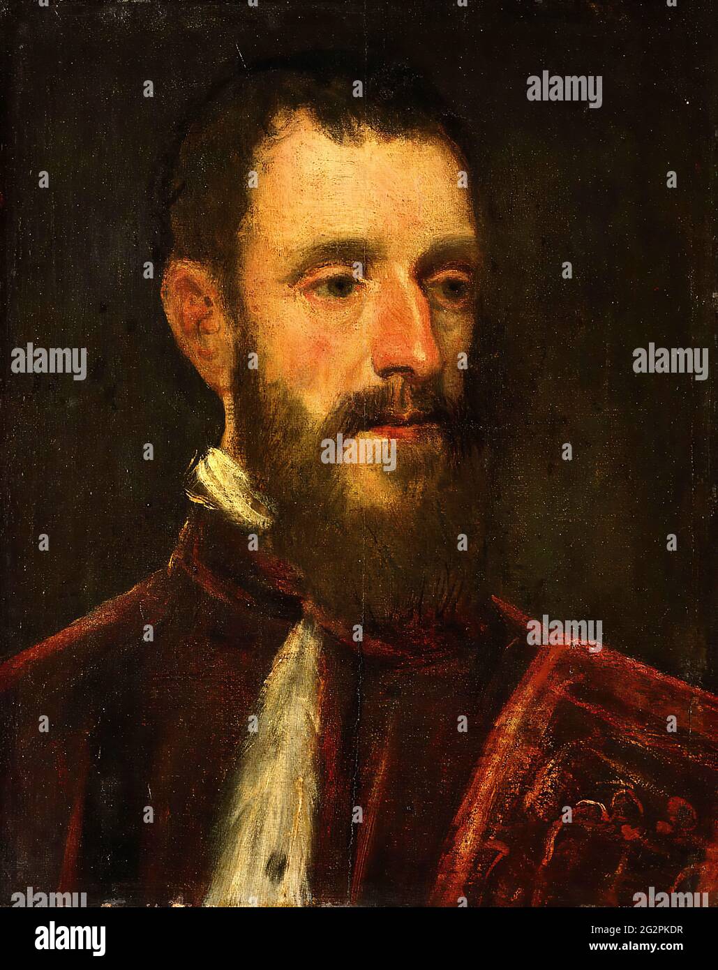 Jacopo Robusti a.K.a Tintoretto - Portrait of a Procurator Stock Photo ...