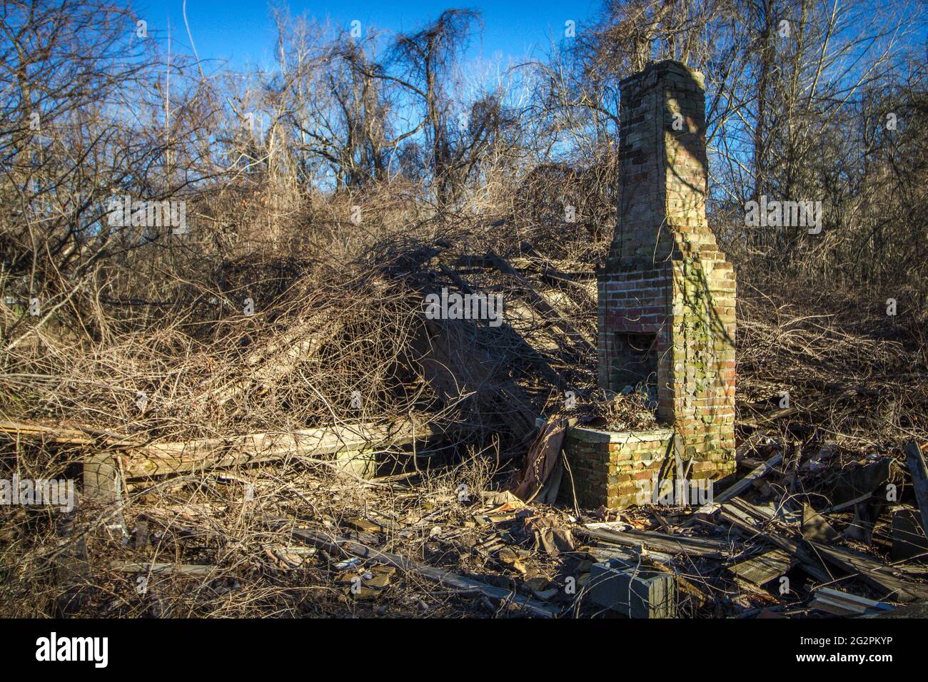 Rodney ms hi-res stock photography and images - Alamy