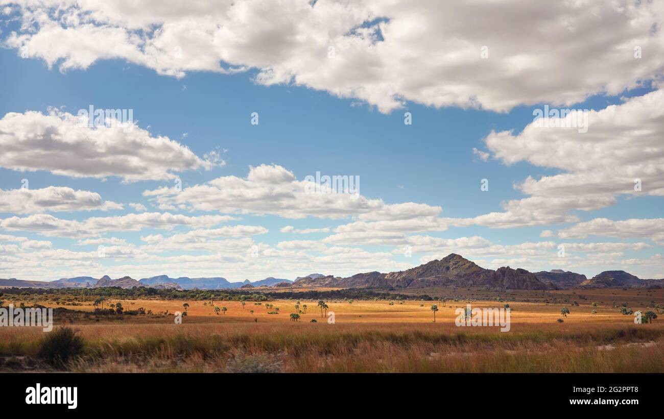 African savanna with few small palm trees, mountains in distance ...