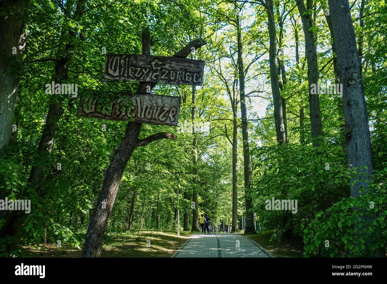 Adolf hitler at hitlers headquarters at gierloz hi-res stock ...