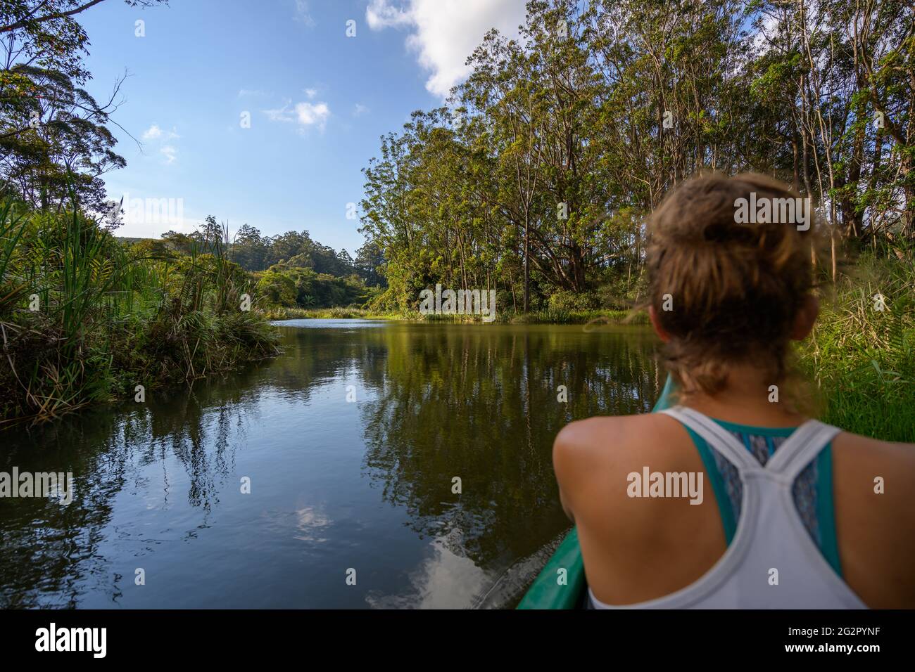 Island of lemures Stock Photo - Alamy