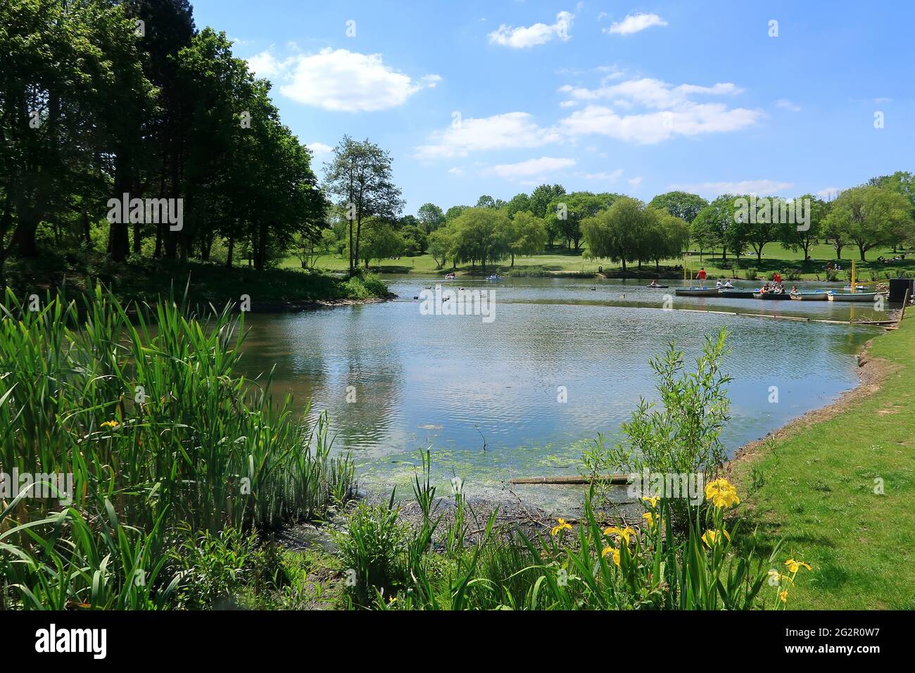Swanley Country Park High Resolution Stock Photography and Images - Alamy