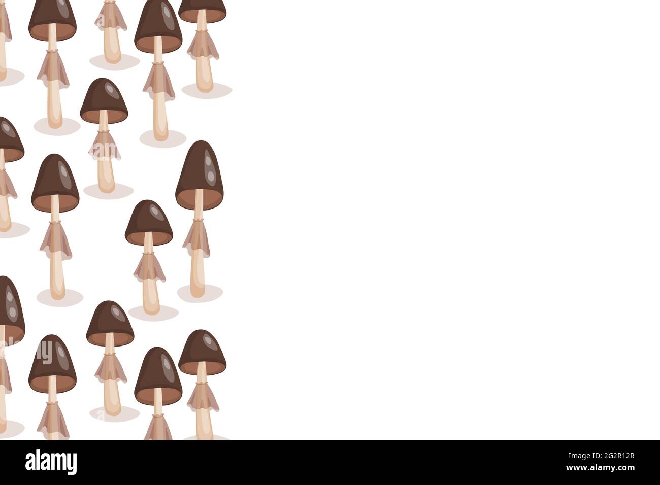 Mushrooms icon set isolated on white background. Frame with natural ...