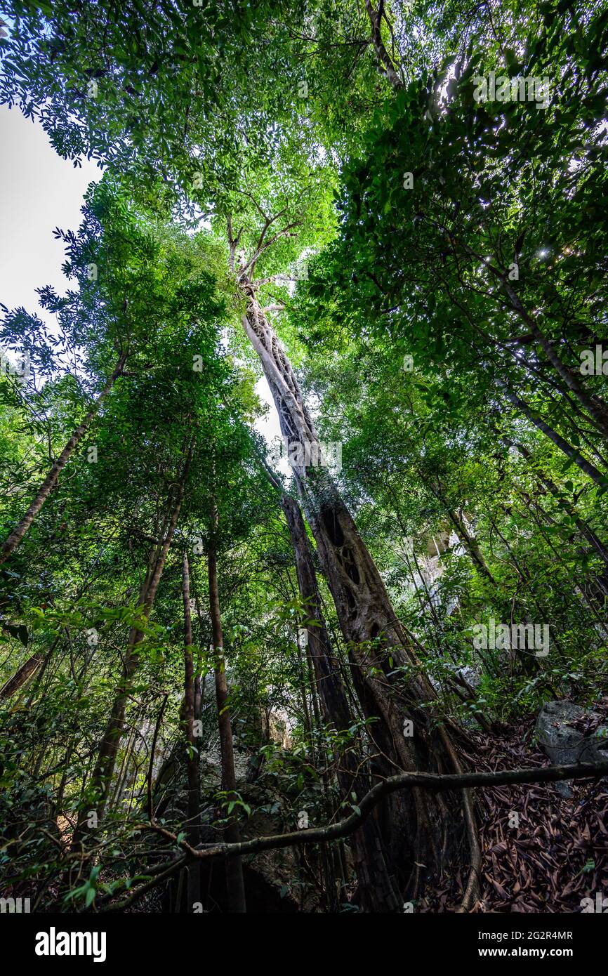 Hell nature reserve hi-res stock photography and images - Alamy