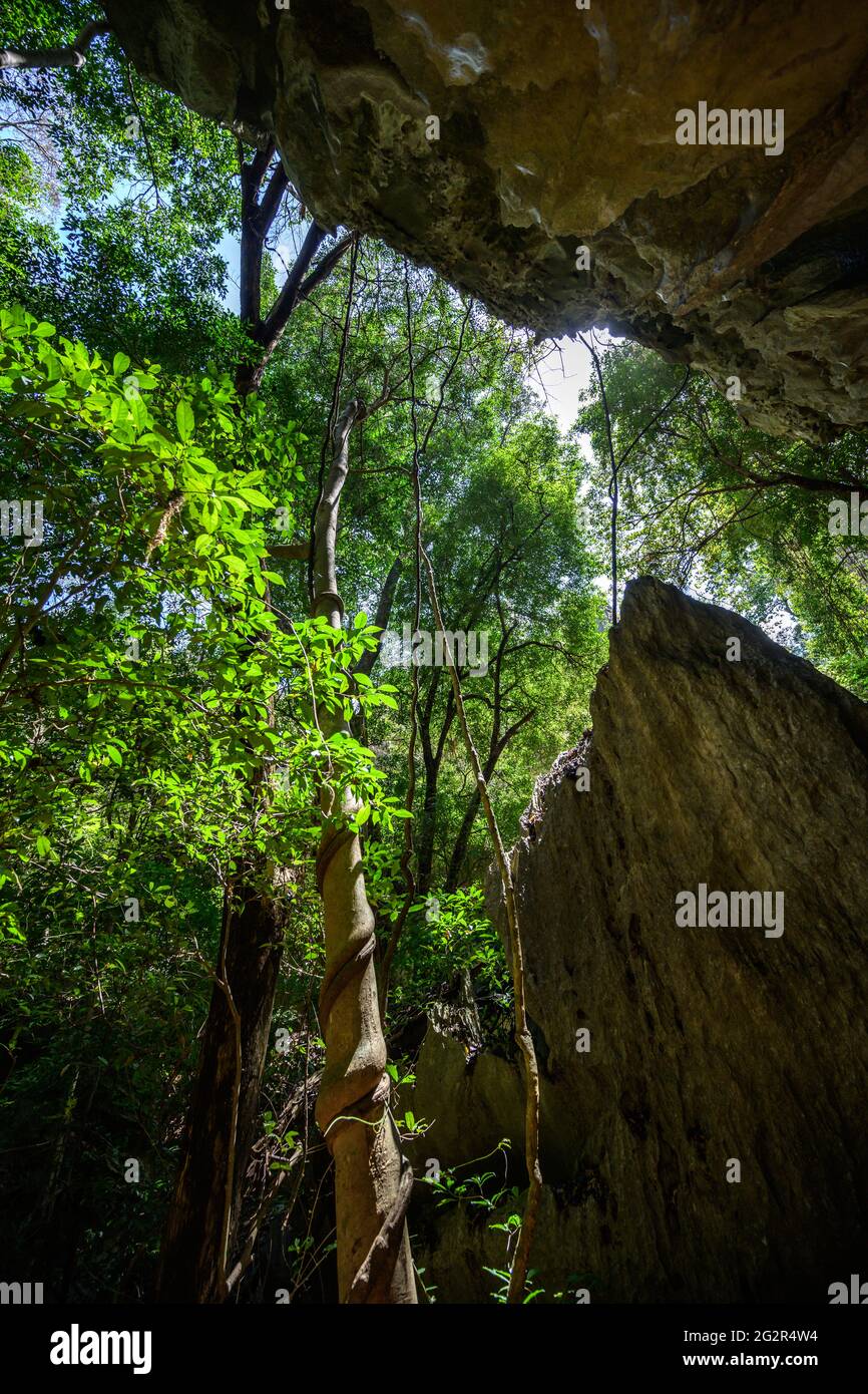 Visiting hell hi-res stock photography and images - Alamy