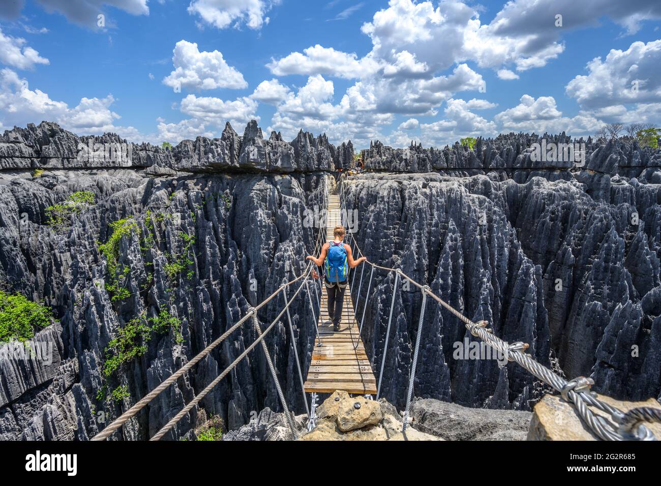 Strict line hi-res stock photography and images - Alamy