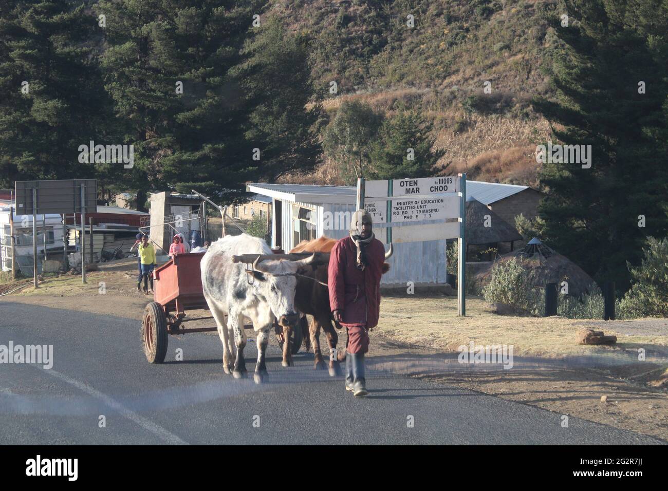 A bodyguard fixes Basotho Action Party leader Nqosa Mahao's face mask ...