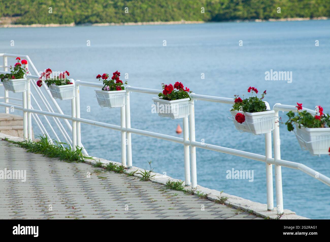 Deck flowers hi-res stock photography and images - Alamy