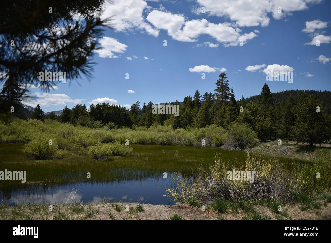 Truckee lake hi-res stock photography and images - Alamy