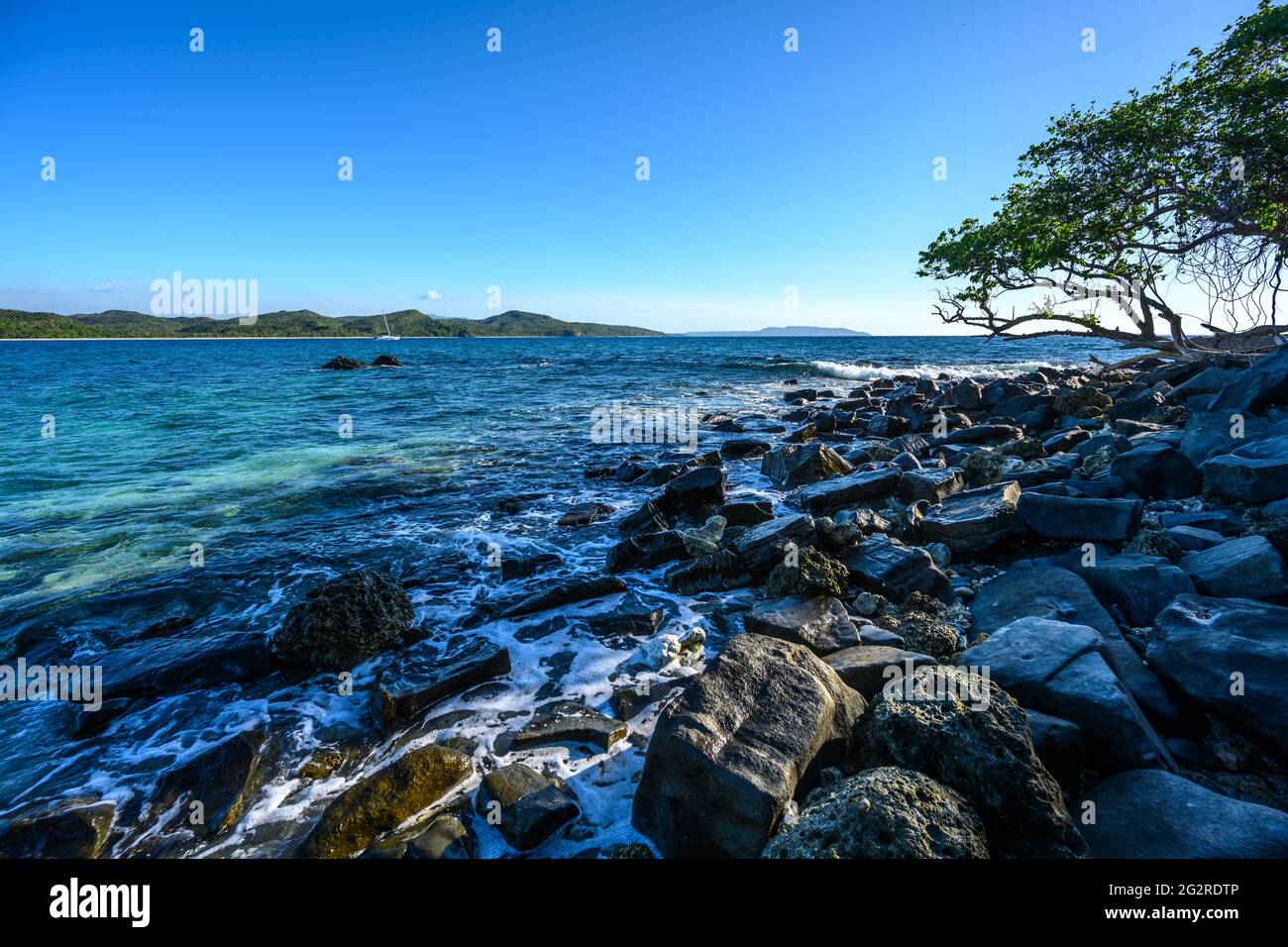 Madagaskar baum hi-res stock photography and images - Alamy