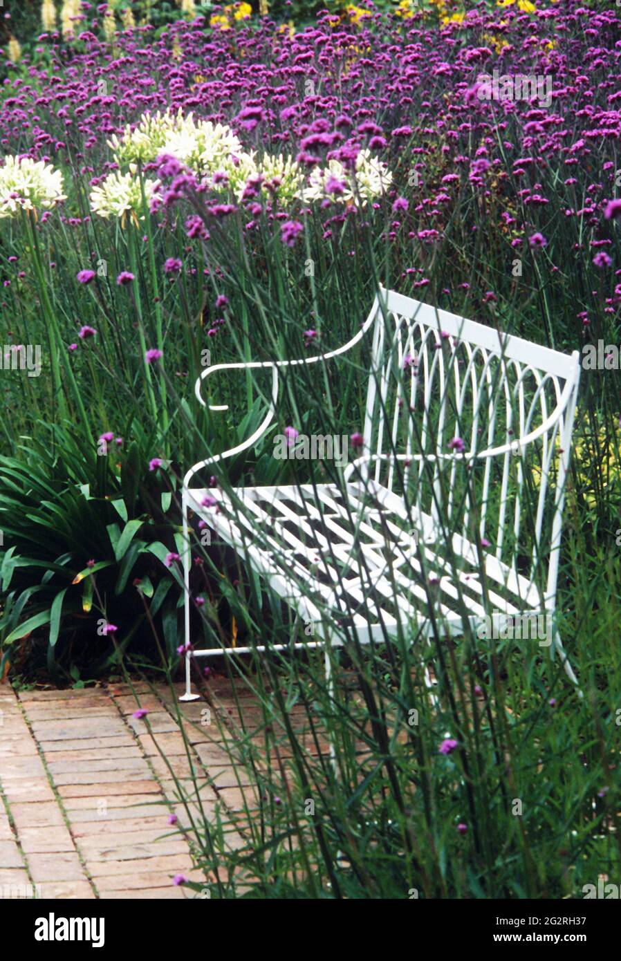 The White Bench Stock Photo - Alamy