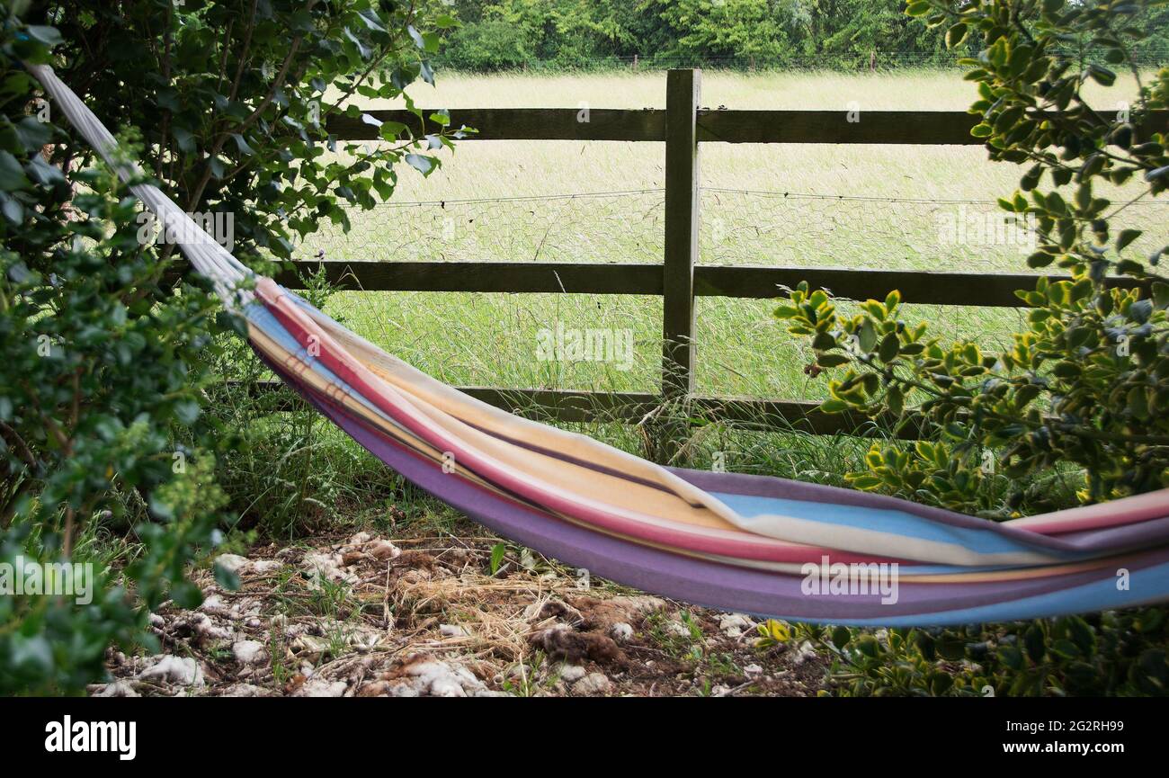 A rainbow hammock Stock Photo - Alamy
