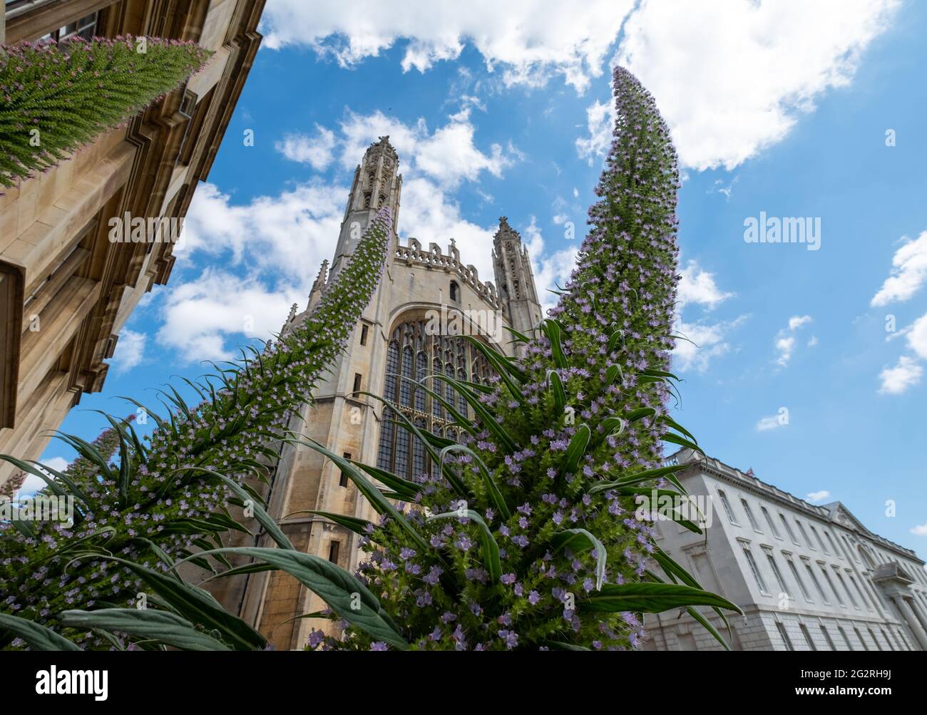 King's College Chapel with its iconic Gothic arch at Cambridge ...