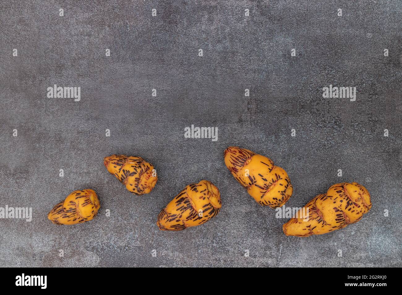 Andean tubercle hi-res stock photography and images - Alamy