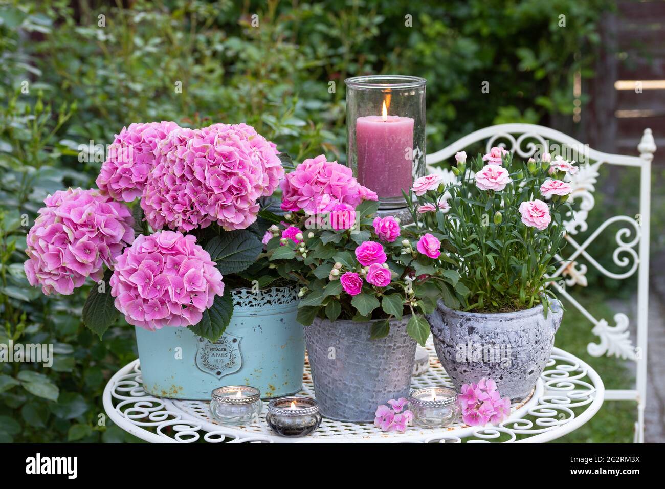 pink summer flowers in vintage pots as garden decoration Stock Photo ...