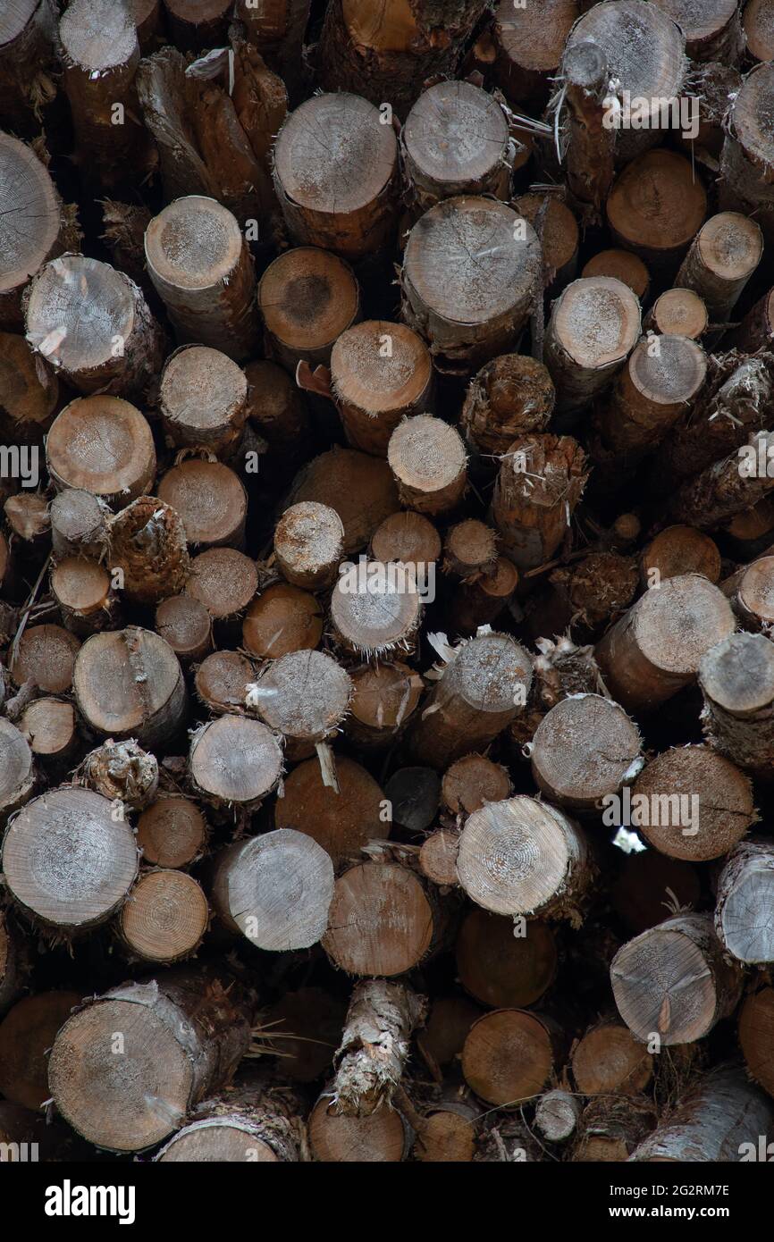 Picture of logs hi-res stock photography and images - Alamy