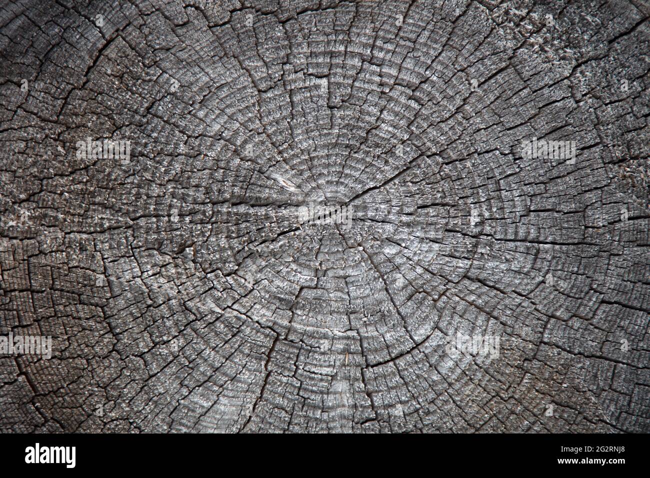 Circles hi res hi-res stock photography and images - Alamy