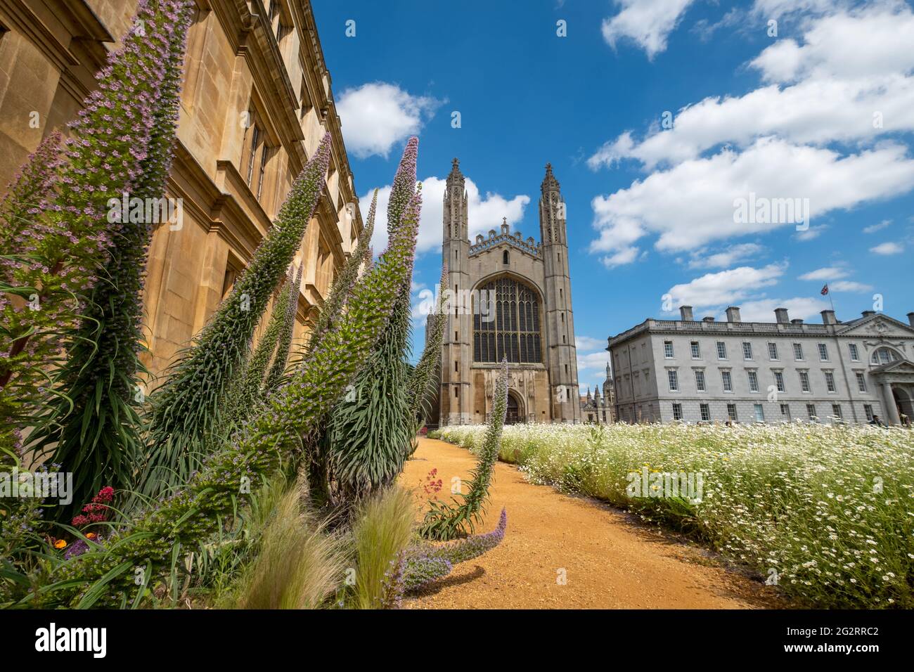 King's College Chapel with its iconic Gothic arch at Cambridge ...
