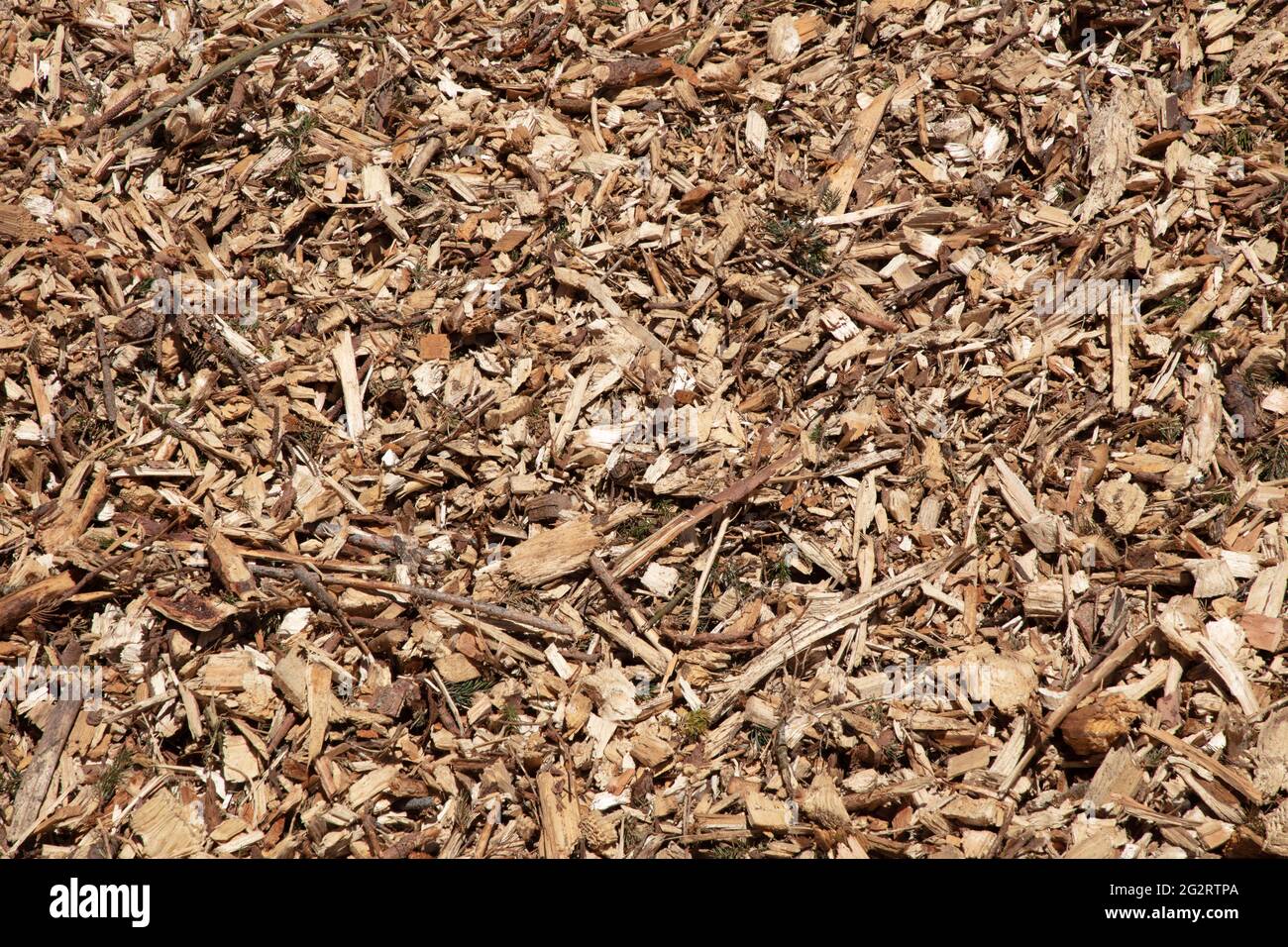 a detail photograph of bark wood chippins Stock Photo - Alamy