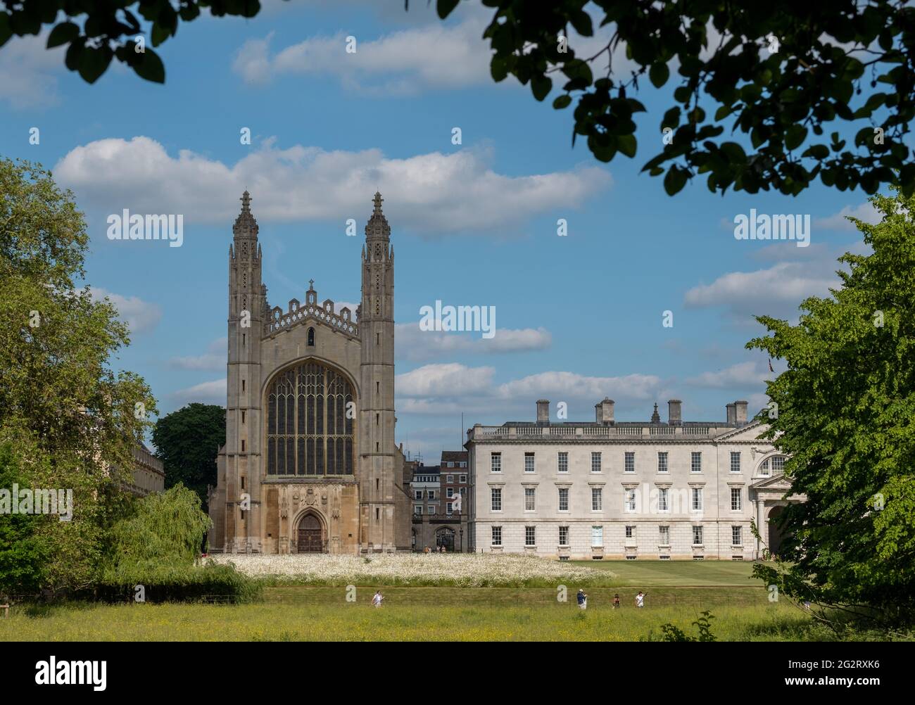 Biodiversity rich ecosystem hi-res stock photography and images - Alamy