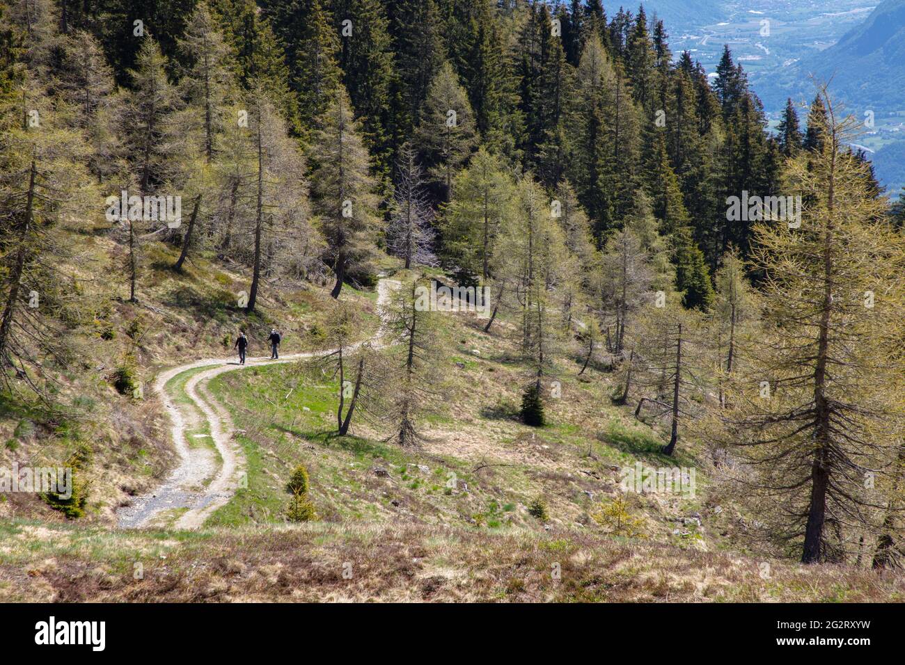 Photographer in italian alps hi-res stock photography and images - Alamy