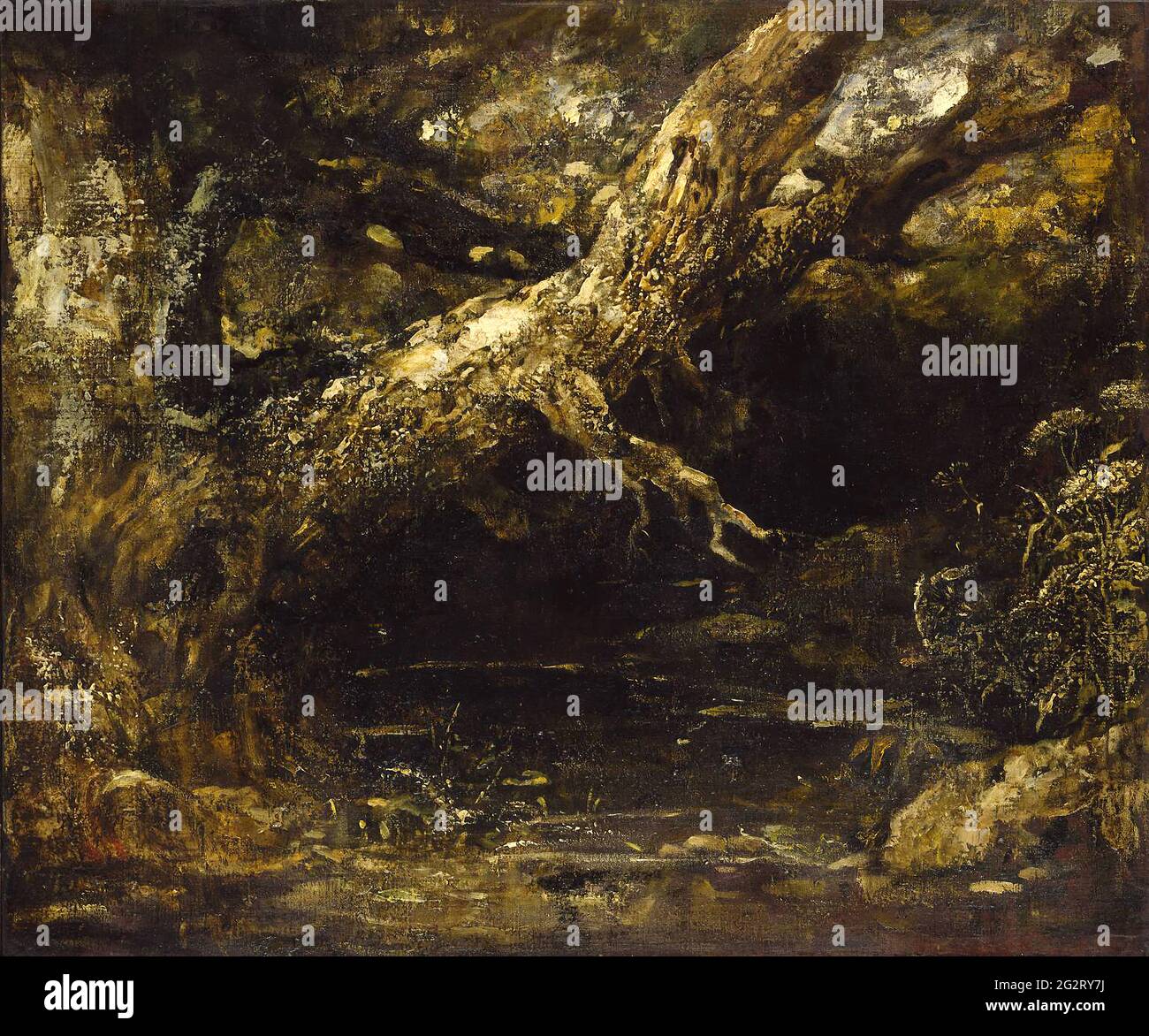 John Constable - Trunk and Lower Branches of a Tree Stock Photo - Alamy