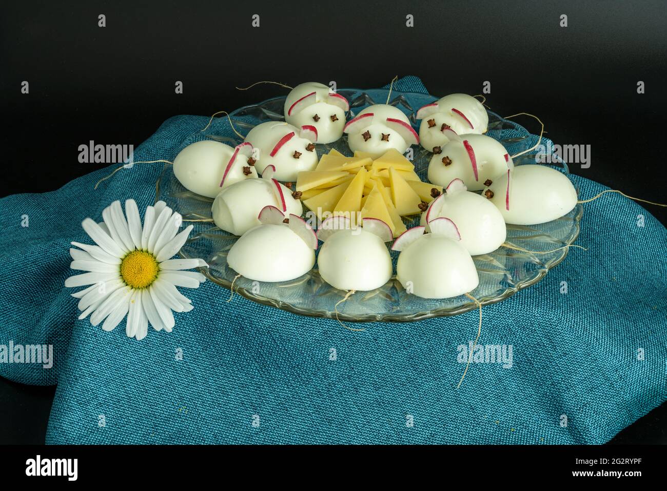 Happy mice hi-res stock photography and images - Alamy