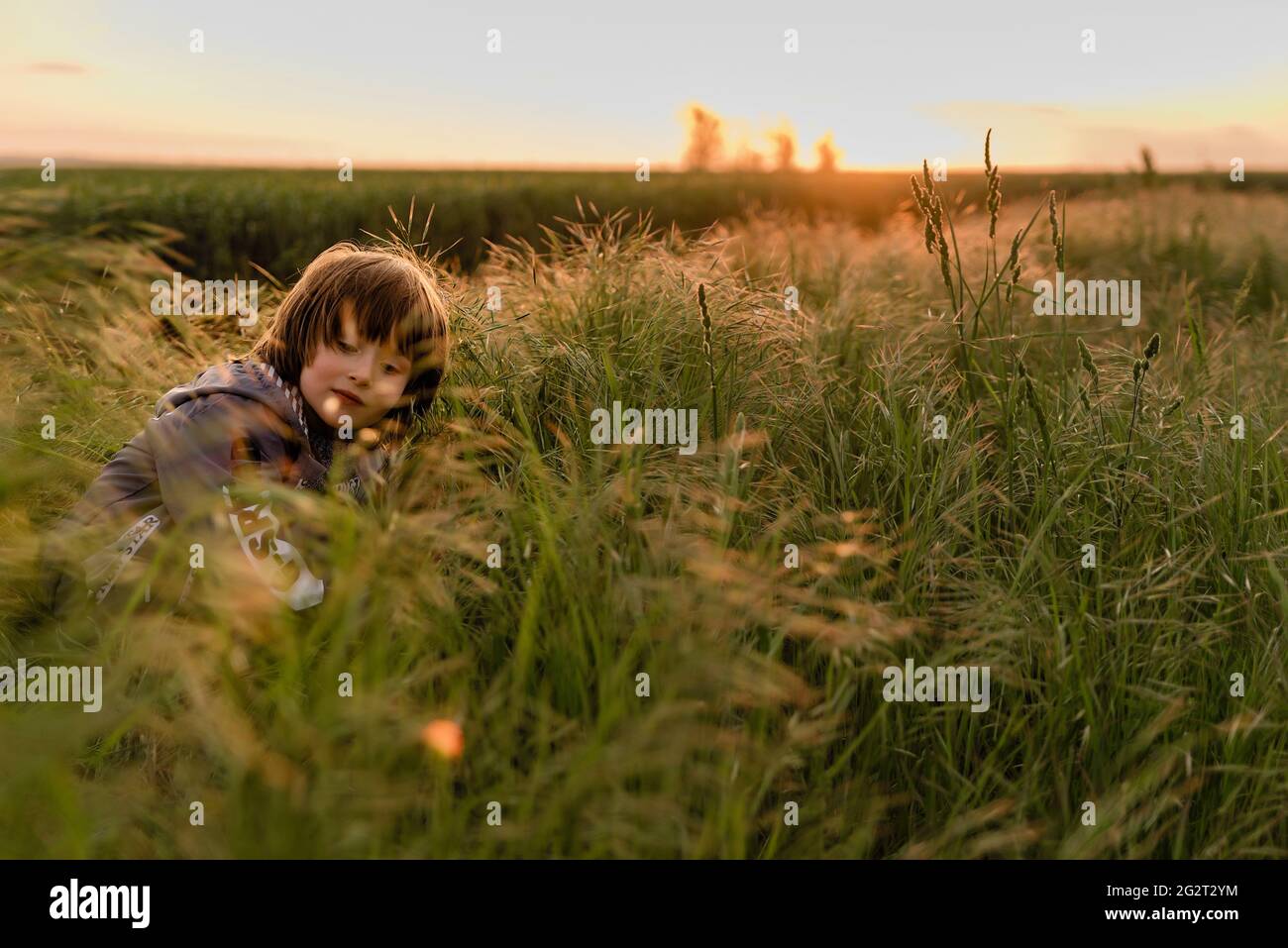 Portrait of a small boy on very green meadow watching the sunset ...