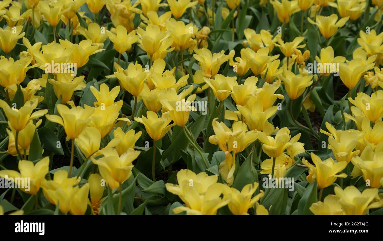 Hot springs ar hi-res stock photography and images - Alamy