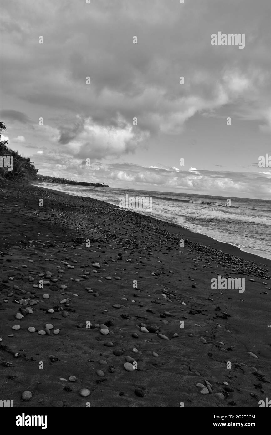 Caribbean island beach scenery Black and White Stock Photos & Images ...