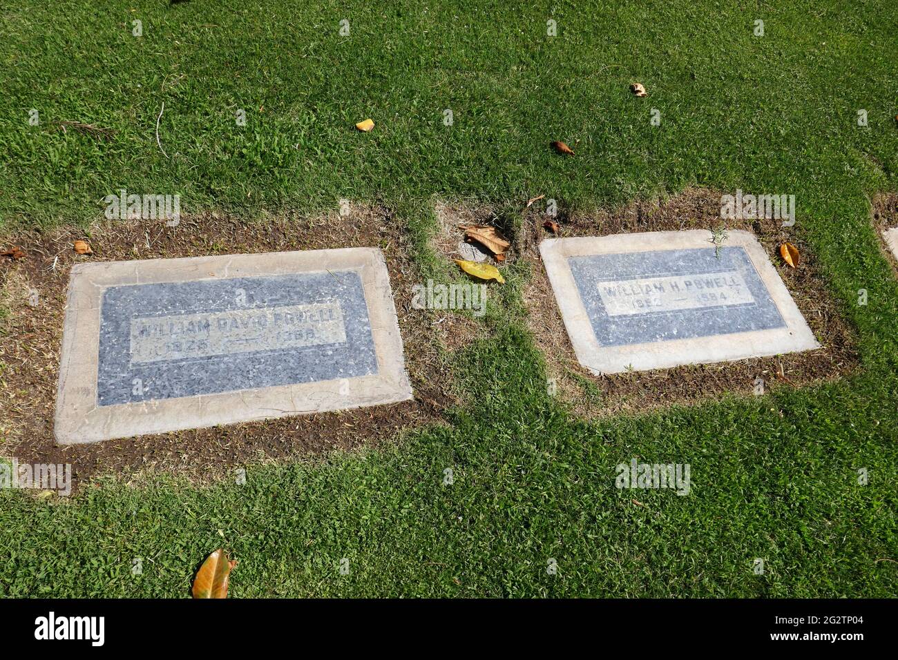 William David Powell