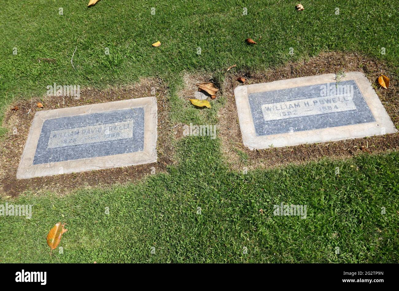 Elbert Frank Cox Grave